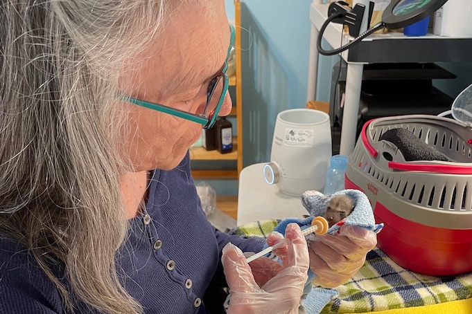 Constance M. - BabyWarm